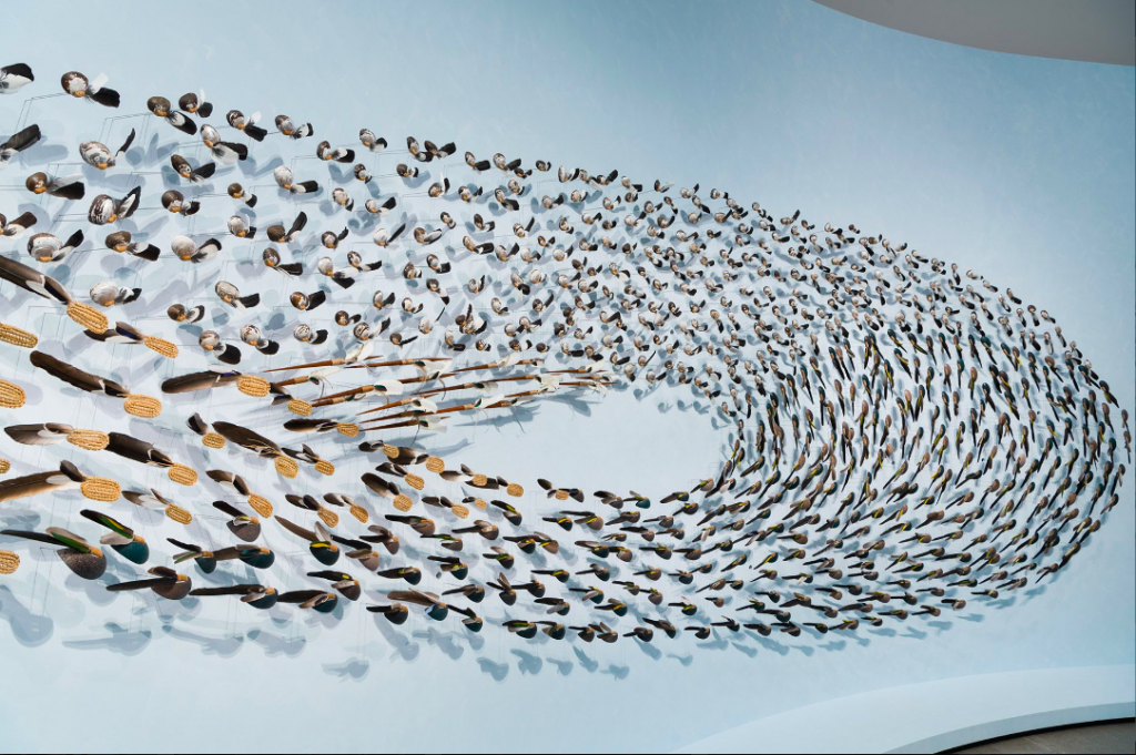 9th Asia Pacific Triennial of Contemporary Art - John McDonald